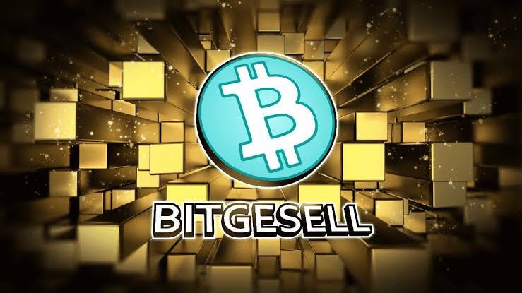 *INTRODUCTION. The creator of BitGesell, Emma wu, got… | by Victory Solomon | Medium