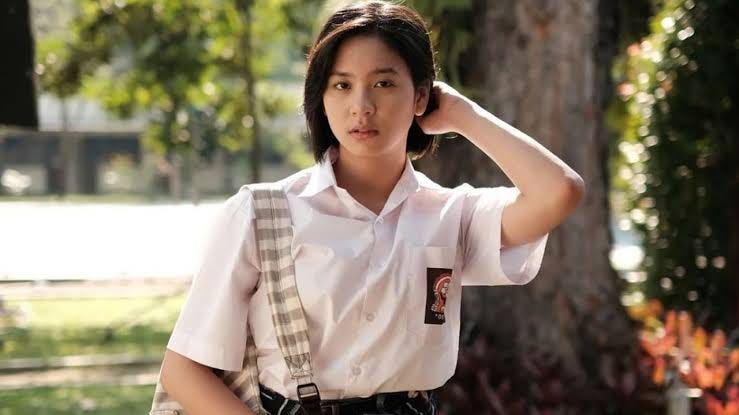 Zenzi fasadela - Zestifony - Medium