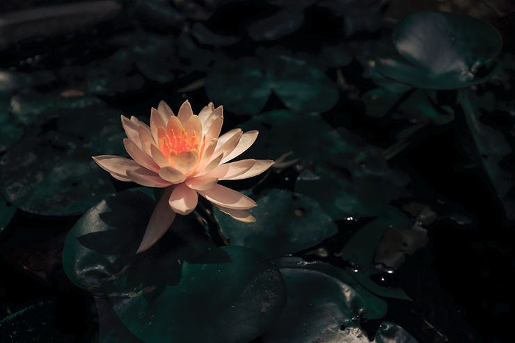 Mastering the Art of Staying Calm: Tips to Help You Manage Anxiety in ...