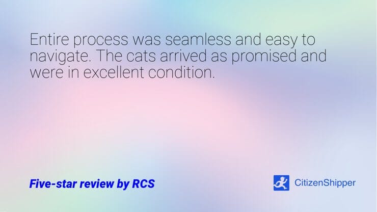 Superior Cat Transportation Services: Exploring a Stellar 5-Star Review ...