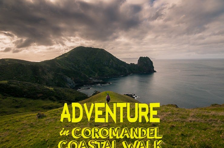 Adventure in Coromandel Coastal Walk | by Oriol Segarra | Under 1000 ...
