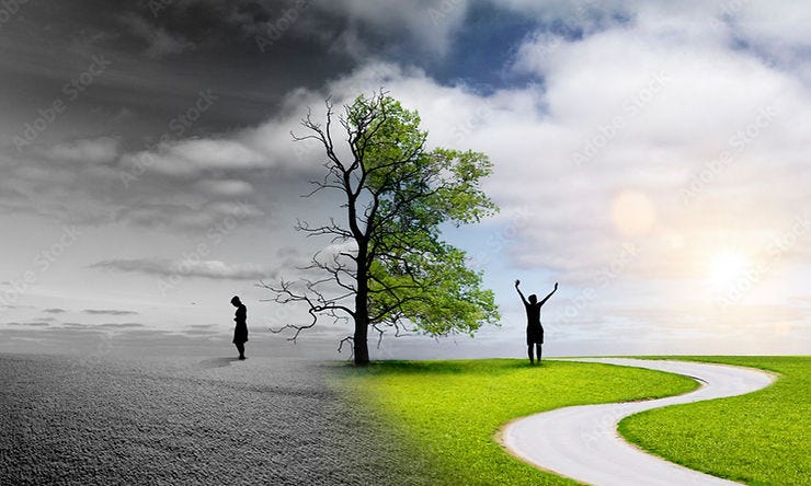 Restoration: The Art of Rebuilding a Beautiful Life | by Lisa Klassen ...