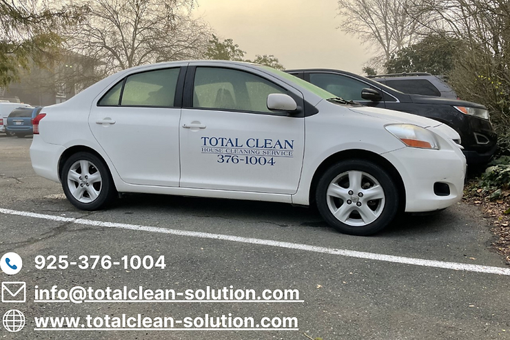 Benefits of Choosing an Eco-Friendly Cleaning Company with Effective ...