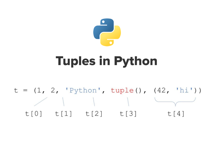 Beyond Lists: Exploring the Untapped Potential of Python Tuples | by Sayali Kumbhar | May, 2024 ...