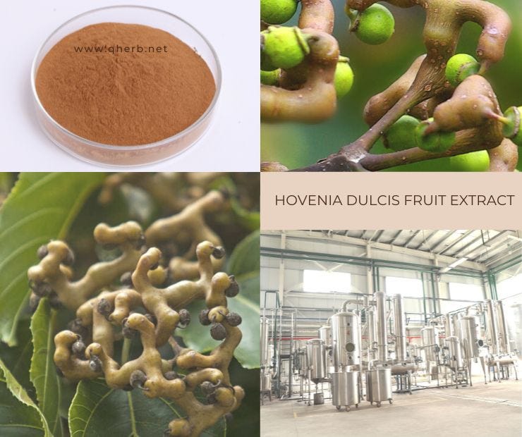 What is Hovenia Dulcis Fruit Extract and its main active ingredients ...