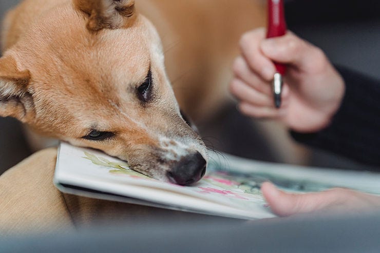 Canine Art Therapy: Unleashing Your Dog’s Inner Picasso | by HuggerPups ...