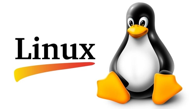 Linux Fundamentals | Vmware Installation | Hacking | Medium