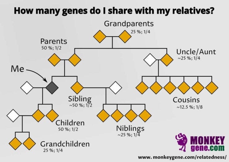 Scientific proof that humans are cousins of monkeys | by The Other ...
