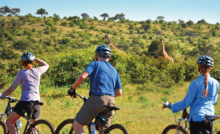Pedal Through the Wild: A Cycling Safari Adventure in Arusha National ...