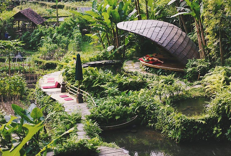 How to Become the Ultimate Eco-Traveler | by Intrepid Travel Tribe | Medium