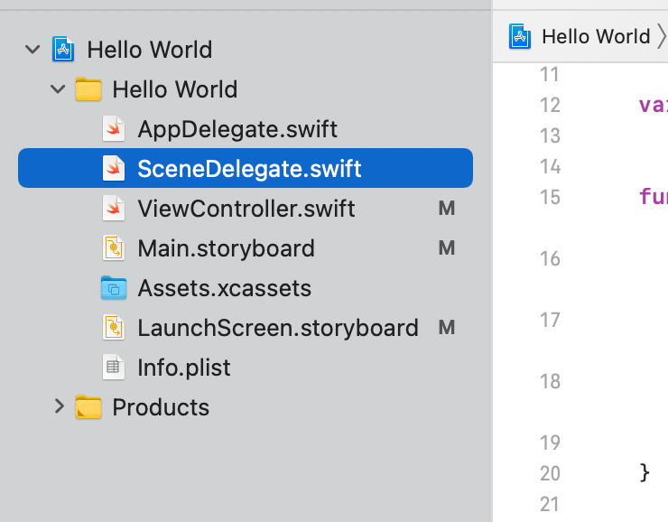 Swift on Xcode#2[架構初探-SceneDelegate] | by 影山小麥機 | Medium
