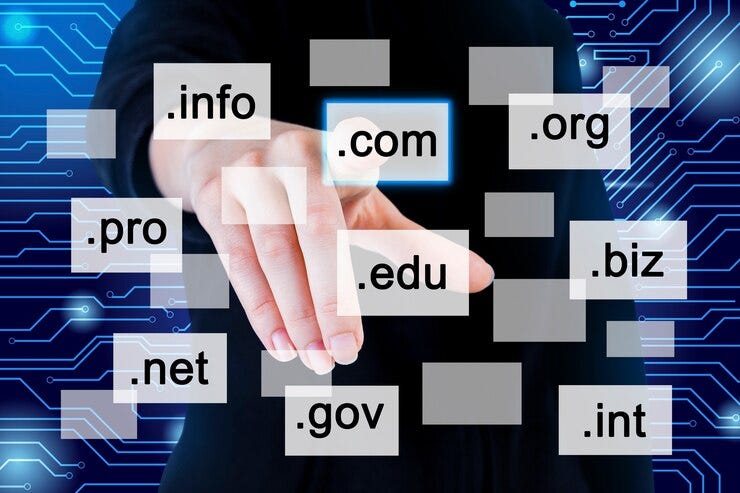 Unlocking the Secrets of Domain Age: Your Guide to Using a Domain Age ...