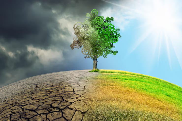 My Village Proved Climate Change Is Real | by Sarwar Alam | Medium