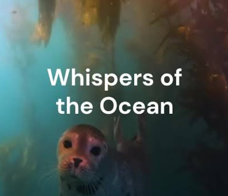 Whispers of the Ocean. Whispers of the Ocean | by Rohit Verma | Medium