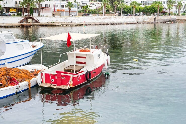 Boats for Sale Abu Dhabi: Your Ultimate Guide to Nautical Adventures ...