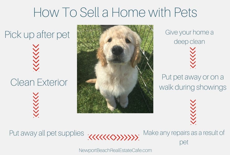 Selling a Home Where Pet’s Live. Home sellers who have pets, love their ...