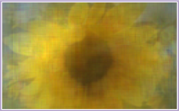 Generative AI with Variational Autoencoders | by Morgan Lynch | Medium