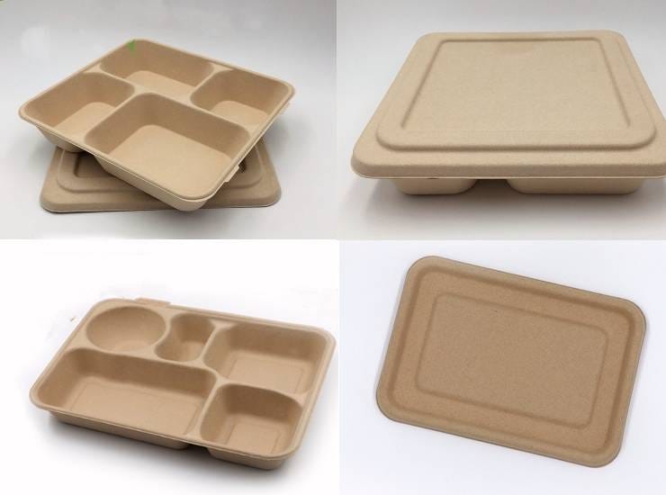 Molded Pulp Packaging: The Sustainable Solution Shaping Your Brand’s ...