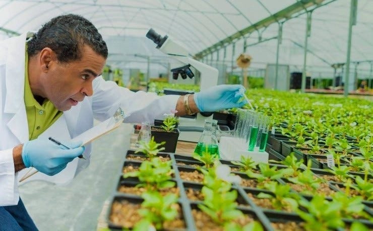 Biotechnology in Agriculture: Enhancing Crop Productivity and Sustainability | by Syed Sharjeel ...