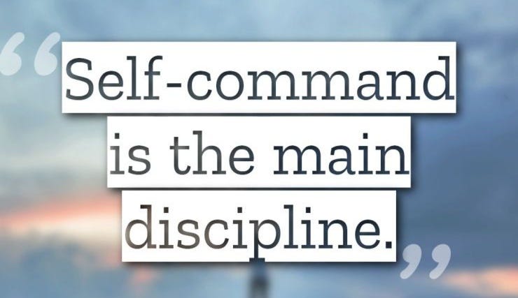 The ART OF BECOMING DISCIPLINE : transforming your life step by step ...