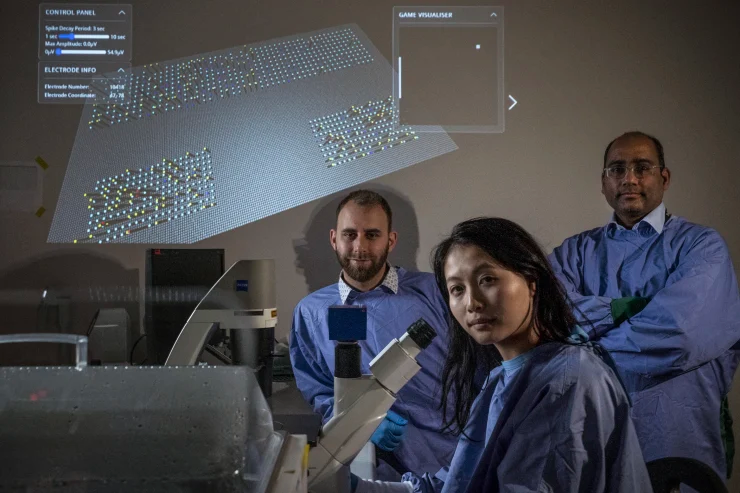 Brain Cells Can Play Video Games — All On Their Own | by Cassidy ...