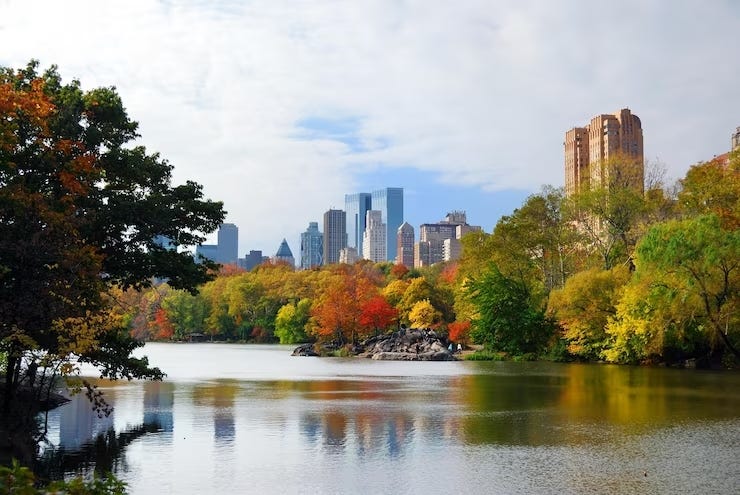 9 Best Places to See Fall Foliage in the US in September | by Reserve ...
