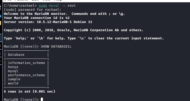 Insert, Update, Delete, and Import files in a Database | by Rachael Muga | Medium