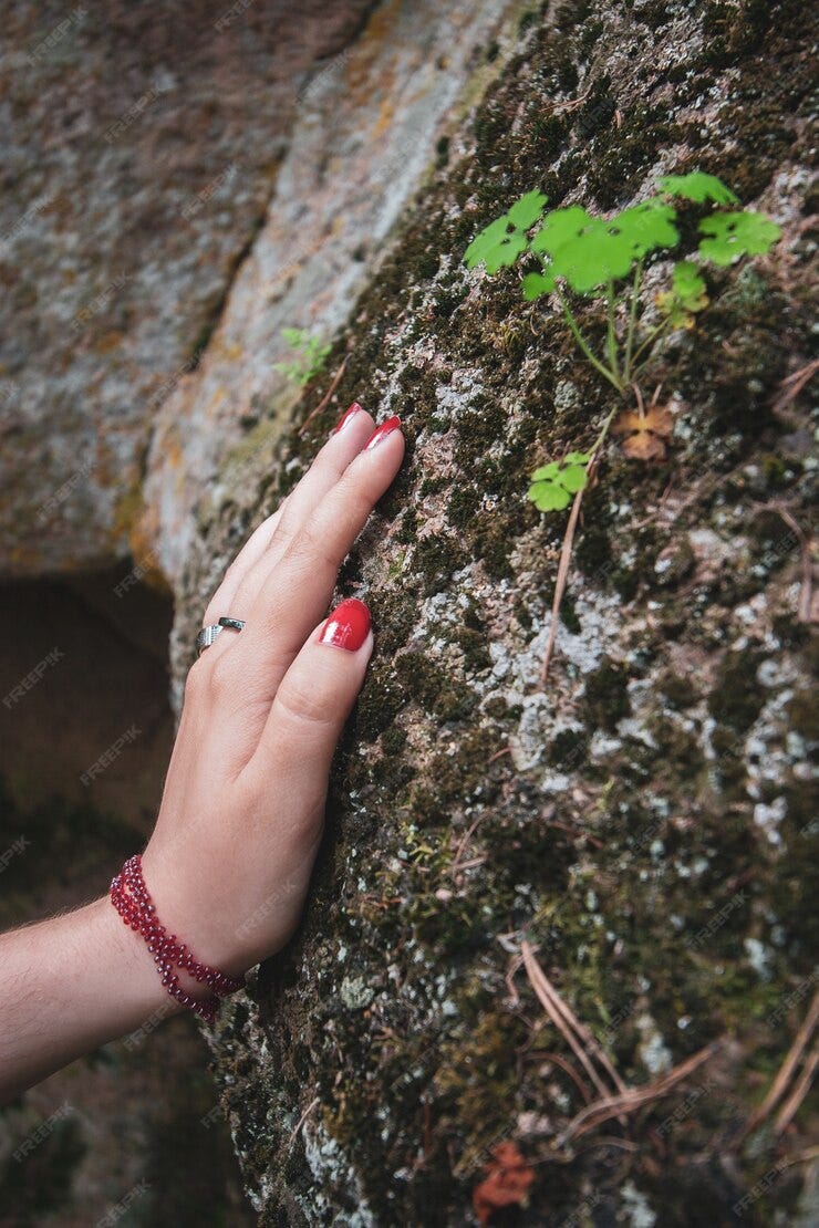 Brushed by way of Nature Exploring Earth's Raw Beauty | by Ayesha Saeed ...