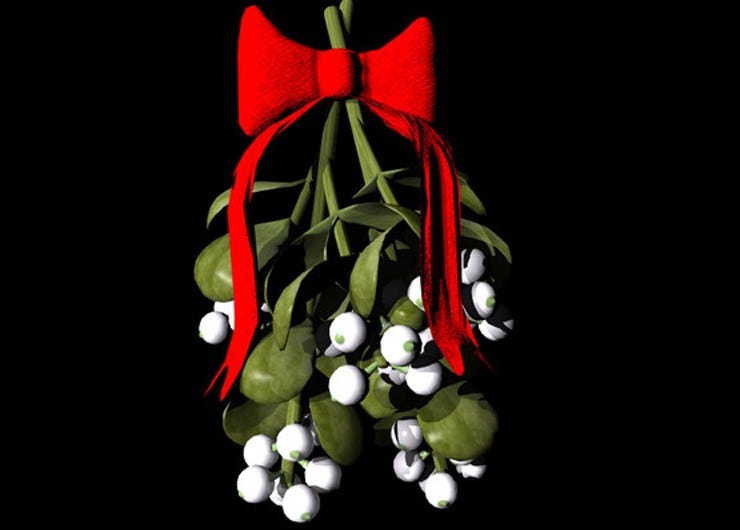 A Mistletoe Kiss. Danny Bowman was a reasonable man. He… | by Anne ...