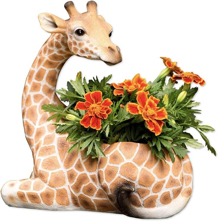 35 Adorable Giraffe Presents Sure to Delight Any Giraffe Fan | by ...