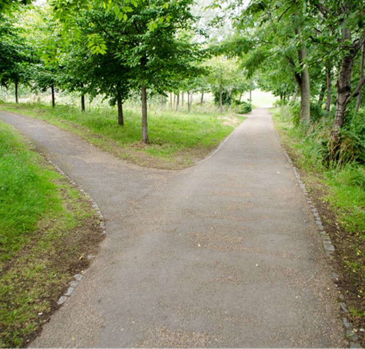 A Path Unforeseen. When the Fork in the Road Provides an… | by Le Voir ...
