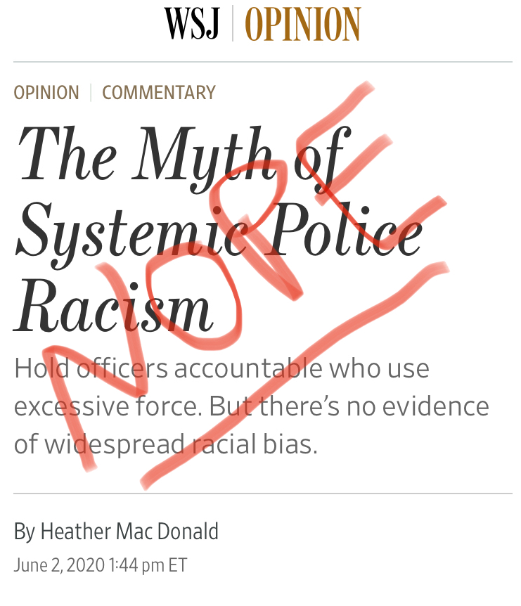 The Pervasive Lies of Heather Mac Donald. | by Sean Kleier | Medium