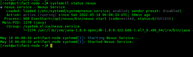 How to install Nexus Repository Manager 3 as a Service on AWS EC2 Instance | by Sandaru ...