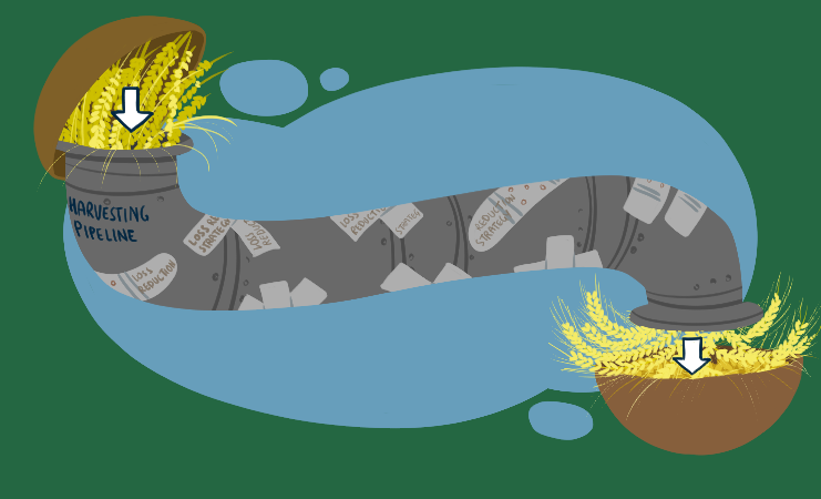 Reducing Post-harvest Losses. Post-harvest losses are the losses that ...