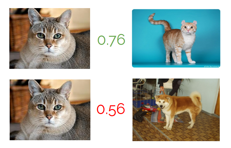 Extract A Feature Vector For Any Image With Pytorch By Christian