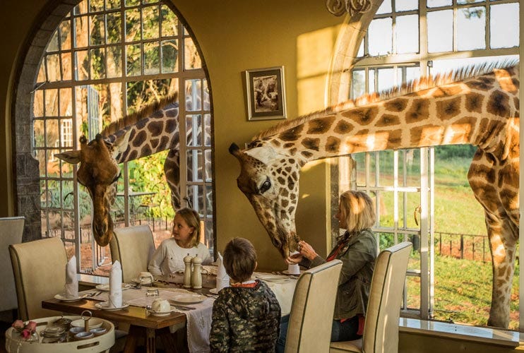 Why You Should Visit East Africa At Least Once In Your Life! | by ...