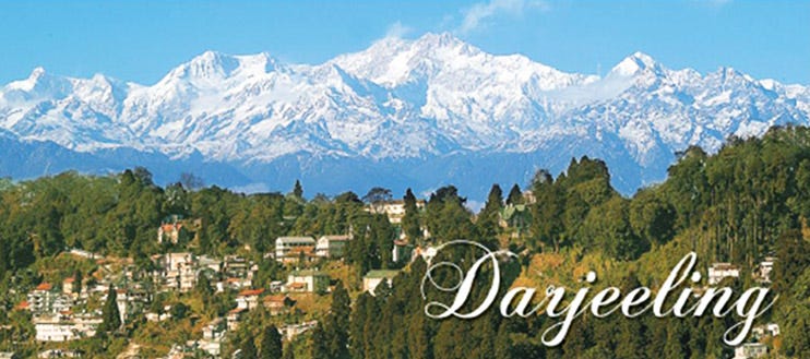 Richard Beese Tours Darjeeling — Queens of the Hills | by Richard Beese ...