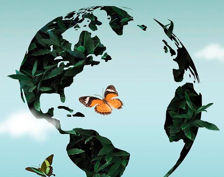What Needs to Be Done Now to Save the Earth | by Ashley Heacock | The ...