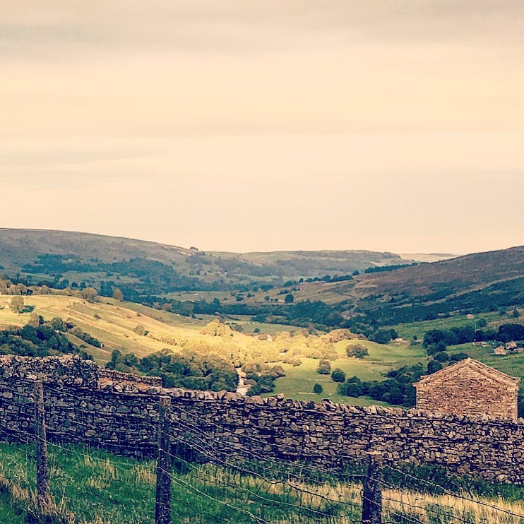 Lessons To Take From Country Living | by Laura Golding | Medium