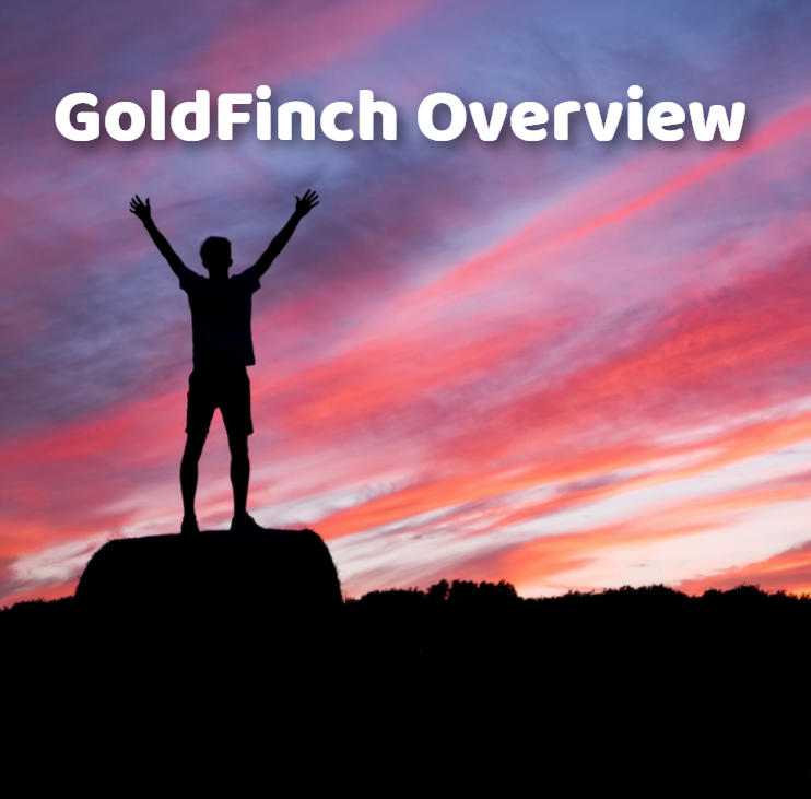 GoldFinch Finance — OVERVIEW. To begin with lets talk about what is ...