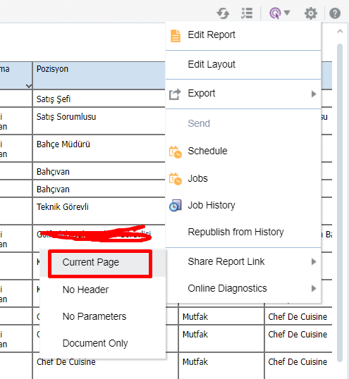 Adding Reports To The Screen With Oracle Fusion Sandbox Kaan Can Calkan