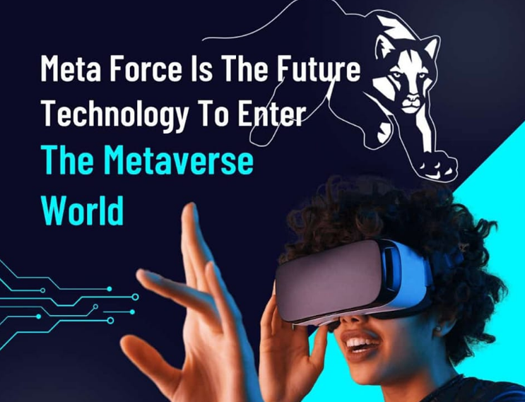 Meta Force. What is Meta Force? Meta Force is a… | by Javaid Niazi | Medium
