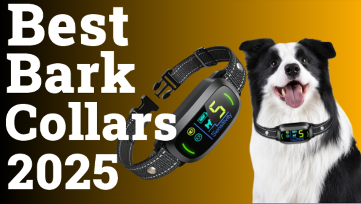 Best Bark Collars | Top 5 Bark Collars 2025 | by Ion Volentir | Medium