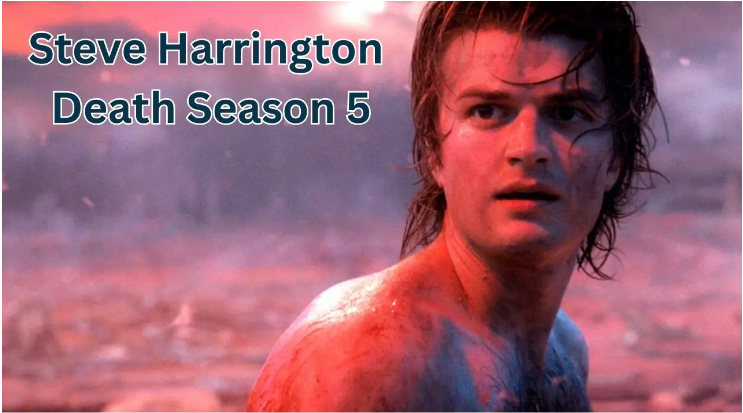 Steve Harrington Death Season 5 - Moviehitnews - Medium