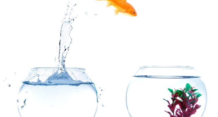 From the Trenches: 5 Steps to Ensure Account Based Everything (a.k.a. Account Based Marketing ...