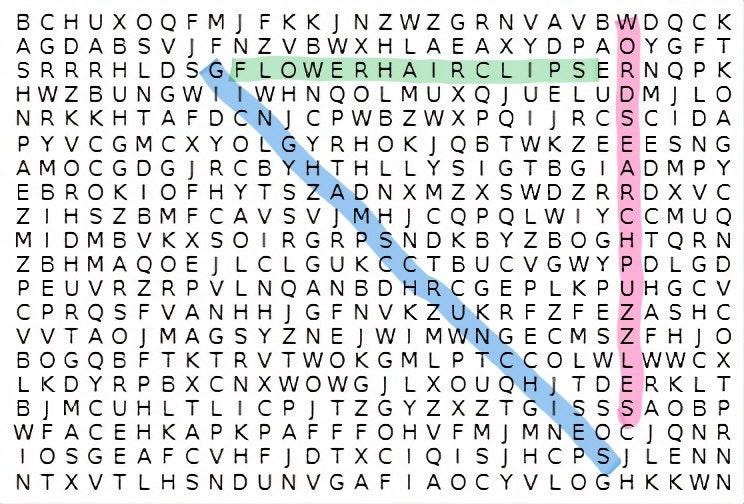 Gingham Scrunchies, Flower Hair Clips, and Wordsearch Puzzles | by somewhat inane | Jun, 2024 ...