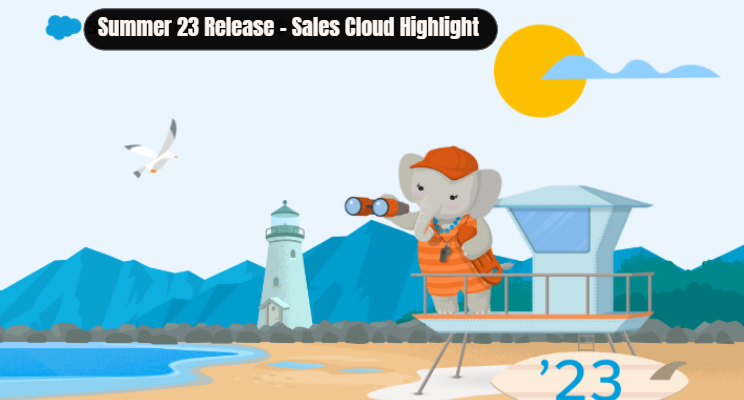 Sales Cloud Salesforce Summer 23 Release features | by Swagata Ray | Medium