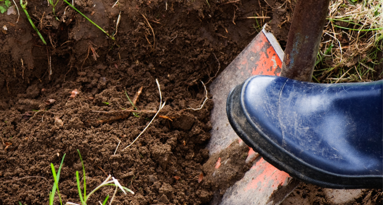 What Digging Holes Taught Me About Living a Meaningful Life | by Craig ...