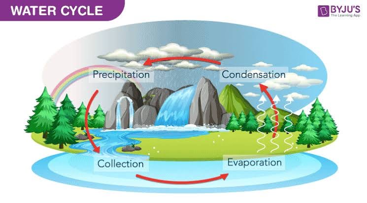Water Cycle Water cycle also known as hydrological cycle the continuous ...