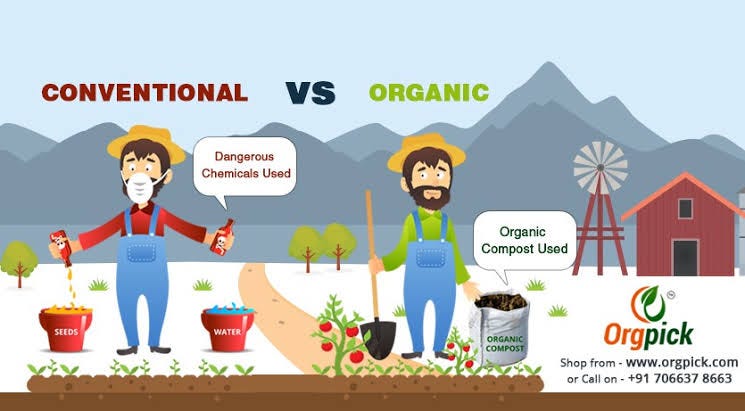 Organic Vs Conventional food. A lots of people are confused as to… | by ...
